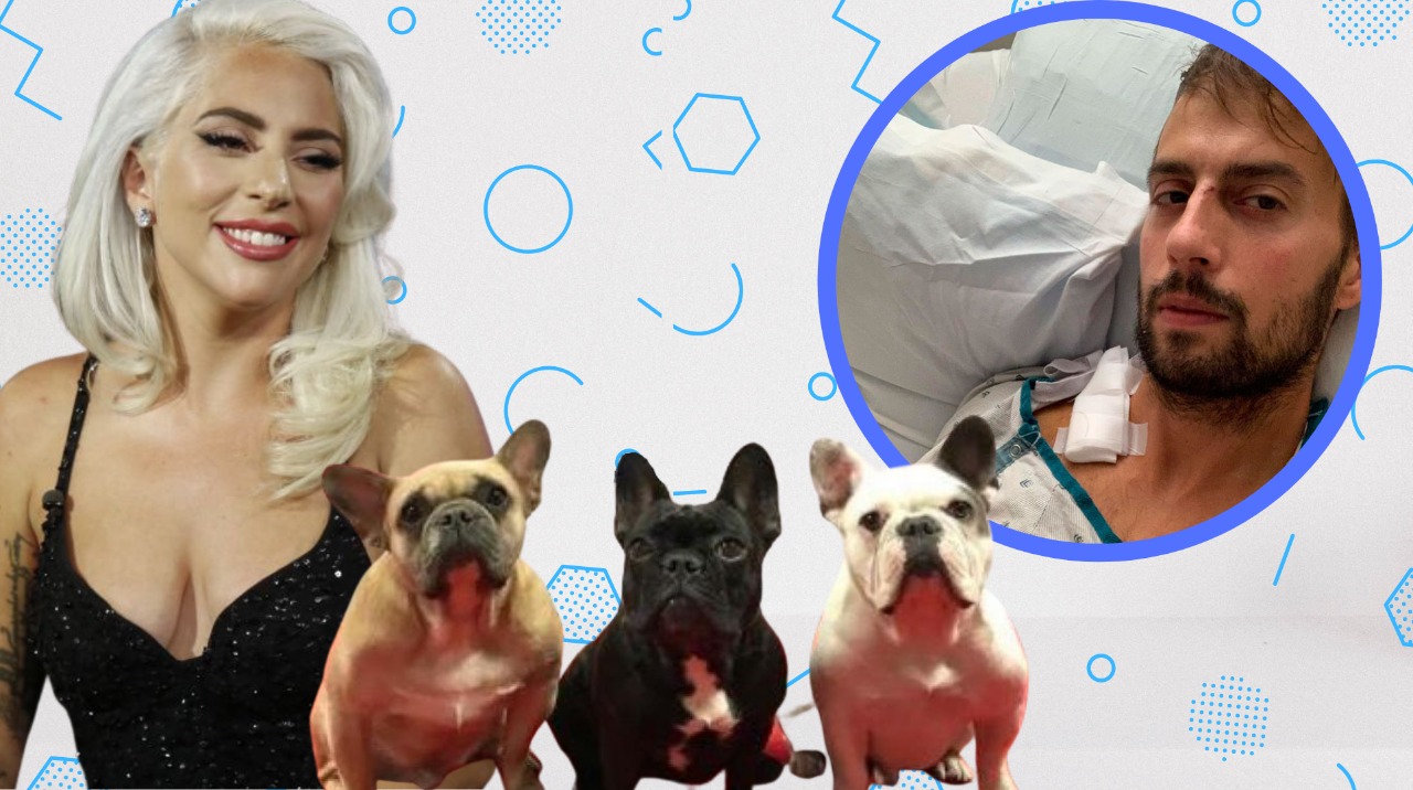 Ryan Fischer, el paseador de los perros de Lady Gaga, habla desde el ...